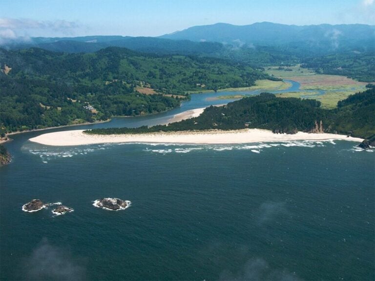 Fun Things to Do in Lincoln City, Oregon: Beaches, Hikes and More