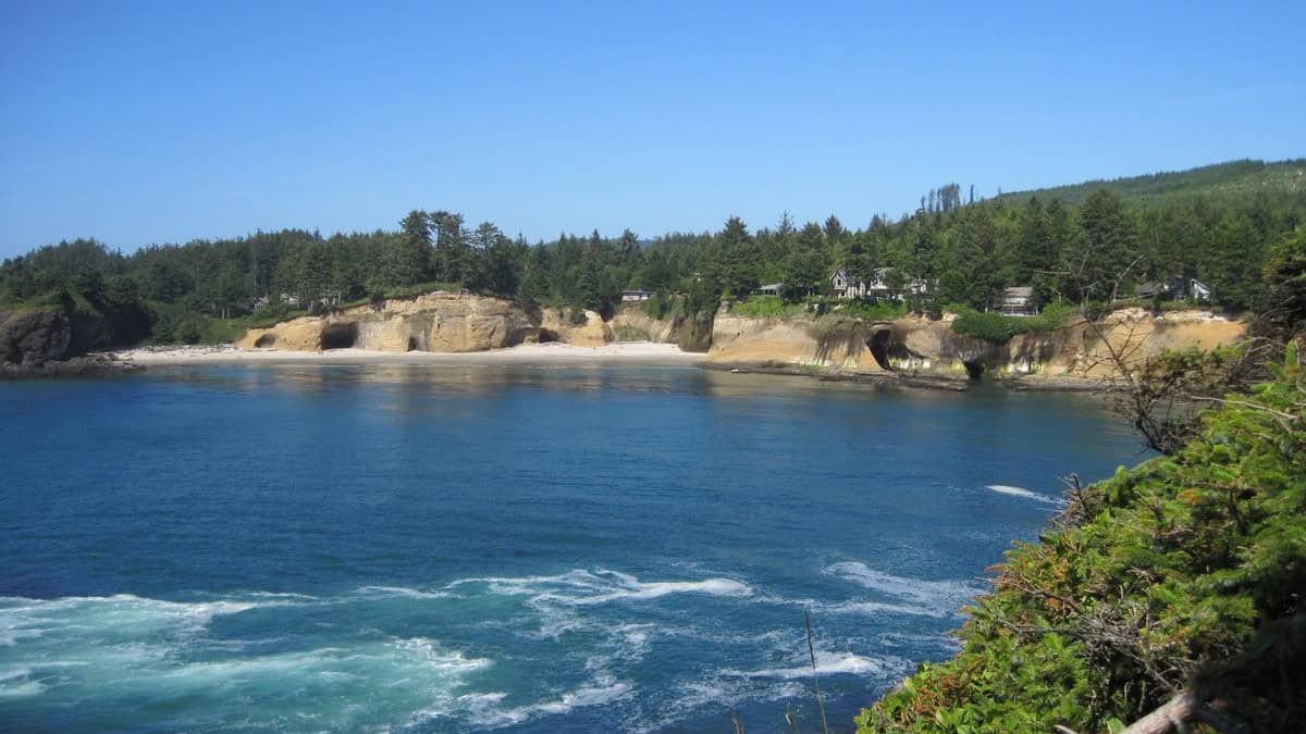 Drive the Otter Crest Loop on the Oregon Coast: Best Viewpoints