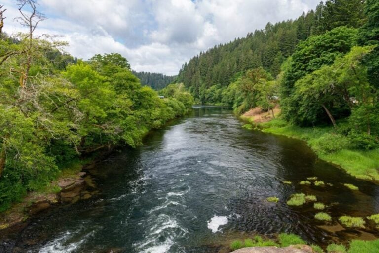 Complete Travel Guide to Waldport and Seal Rock, Oregon