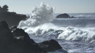 Oregon Coast Tide Tables 2026: Today's Tides & Schedule