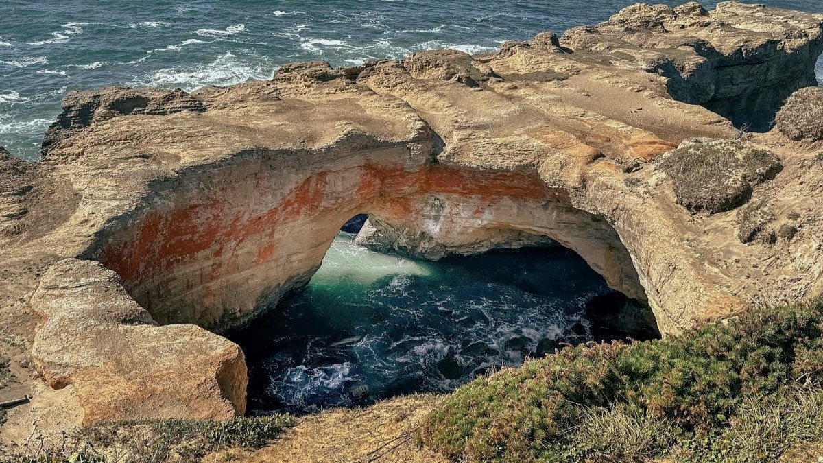 Oregon Coast Tide Pools Guide 2025: Best Spots to Explore at Low Tide