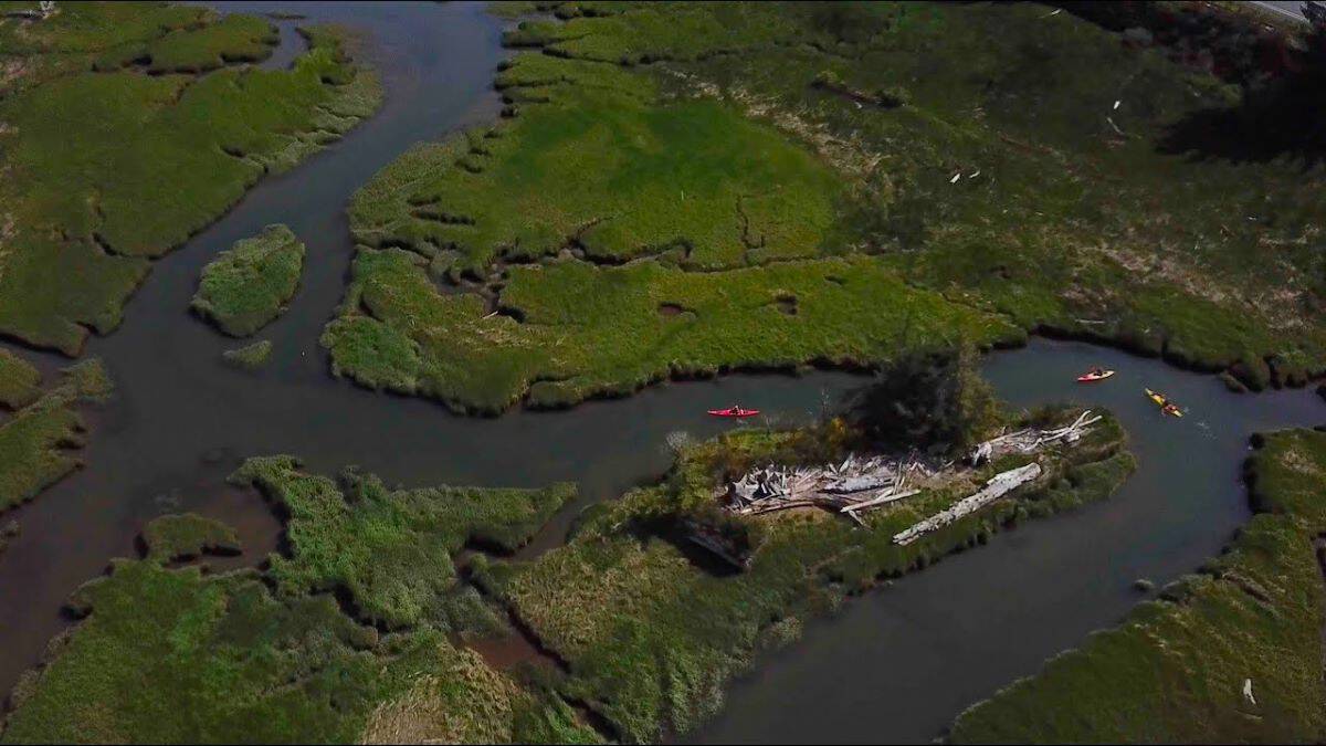 Things to Do in Tillamook, Oregon: Cheese and Beyond