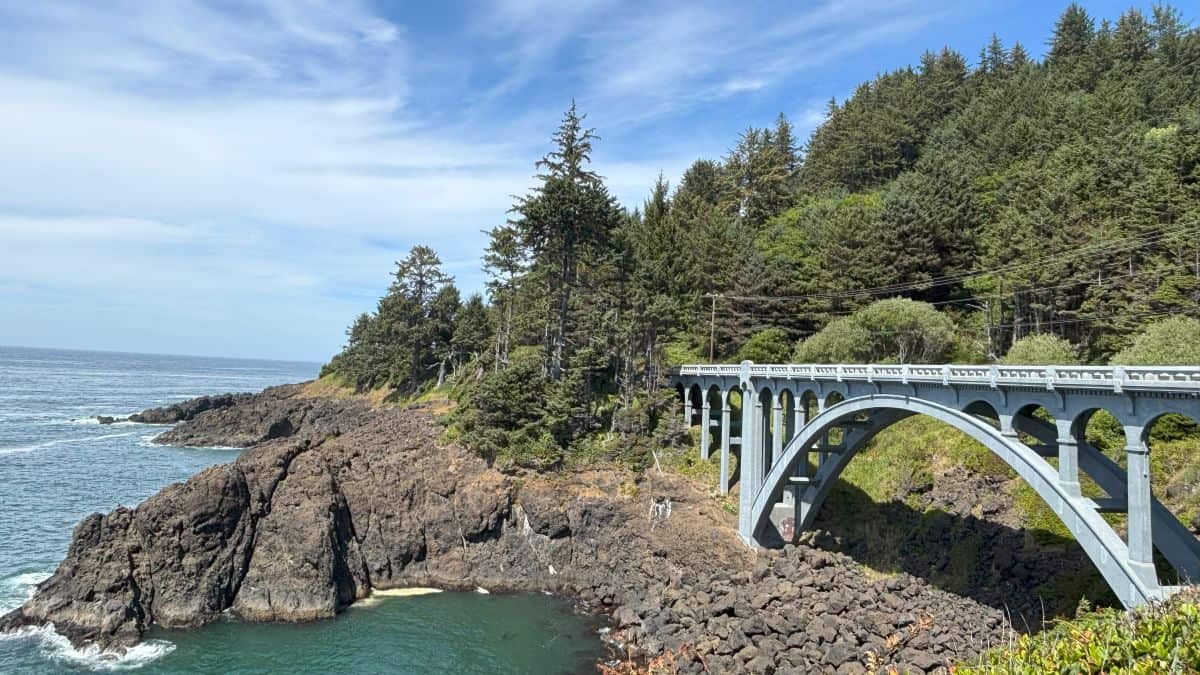 Drive the Otter Crest Loop on the Oregon Coast: Best Viewpoints